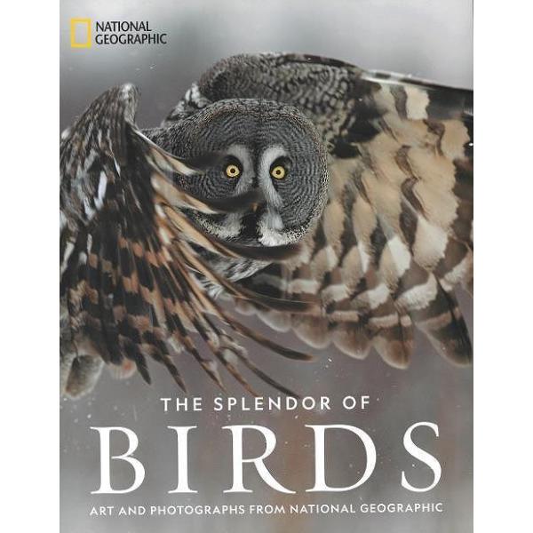 表示価格75.00ドル：ご注意：※本商品はリメインダ―になります。古本・新古本ではありませんが、リメインダ―であることを示す印や線引きがされている場合があります。又、カバー表紙などに若干の汚損などがある場合もございます。内容紹介：ナショナル...