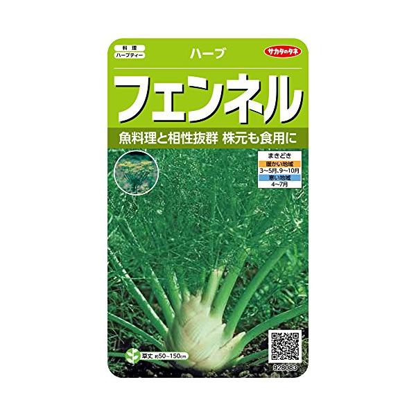 フェンネル ハーブgreen/1.9ml/00928083・パッケージ個数:1・切替月:6月・詰量:1.9ml・発芽率:65・採苗本数:80・春秋扱い:春秋兼用種