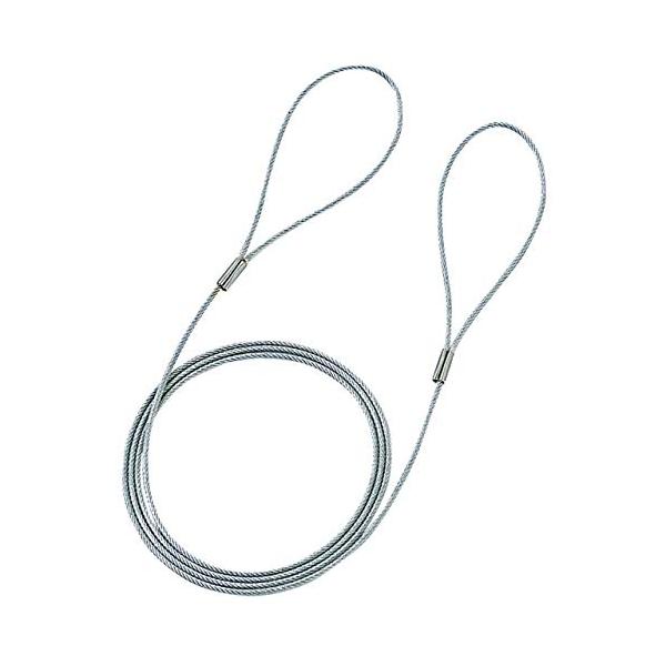 -/1m/SLE-3W・パッケージ個数:1・ワイヤー長1.0m/直径1.6mmのセキュリティワイヤー・サンワサプライeセキュリティシリーズの取り付け部品、鍵などに接続するワイヤーです。・太さ: 1.6mm・ワイヤー長: 1m・材質:亜鉛(ビ...