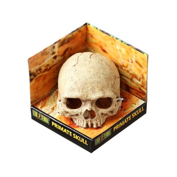 無し/無し/b-ad-6om-sukal・パッケージ個数:1・本体サイズ (幅X奥行X高さ) :12×15×11.5cm・本体重量:310g・原産国:中華人民共和国