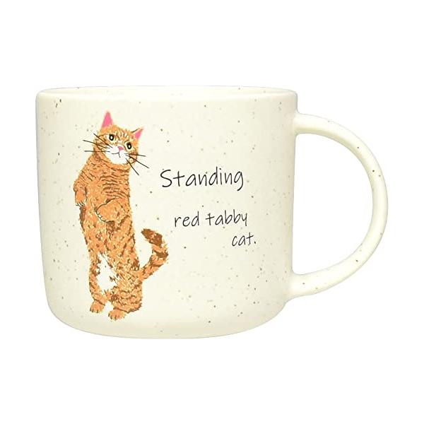 マグカップ茶トラ/-/40922・パッケージ個数:1・サイズ(約):幅11×径8.3×高さ7.6cm、容量300ml・本体重量(約):225g・素材・材質:陶磁器・生産国:日本・家庭用食洗機:使用可、家庭用電子レンジ:使用可