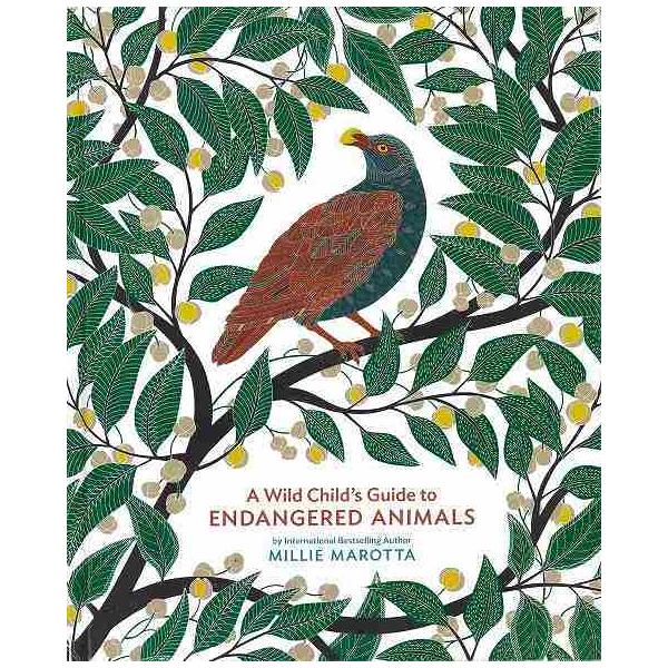 表示価格27.50ドル：ご注意：※本商品はリメインダ―になります。古本・新古本ではありませんが、リメインダ―であることを示す印や線引きがされている場合があります。又、カバー表紙などに若干の汚損などがある場合もございます。内容紹介：消えゆく動...