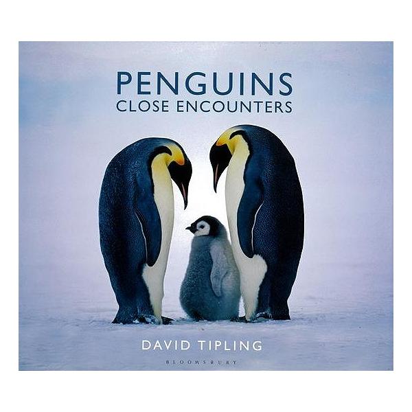 表示価格20.00ポンド：ご注意：※本商品はリメインダ―になります。古本・新古本ではありませんが、リメインダ―であることを示す印や線引きがされている場合があります。又、カバー表紙などに若干の汚損などがある場合もございます。内容紹介：コウテイ...