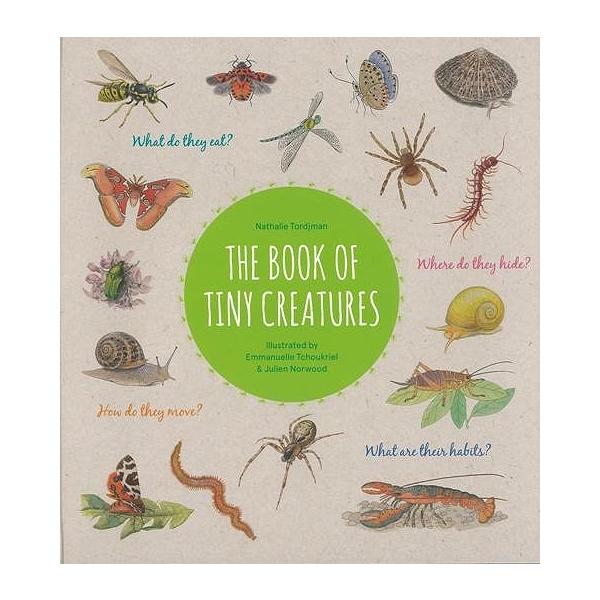 表示価格18.95ドル：ご注意：※本商品はリメインダ―になります。古本・新古本ではありませんが、リメインダ―であることを示す印や線引きがされている場合があります。又、カバー表紙などに若干の汚損などがある場合もございます。内容紹介：空中、地上...