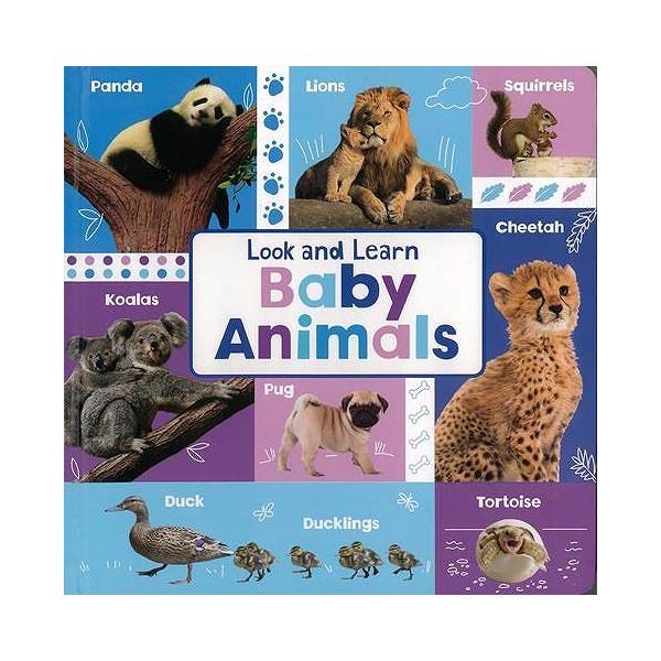 表示価格：17.99 ドル※本商品はリメインダ―洋書になります。商品の性格上、リメインダ―であることを示す印や線引きがされている物があります。又、カバー表紙などに若干の汚損などがある場合もございます。：子供たちがさまざまな赤ちゃん動物、その...