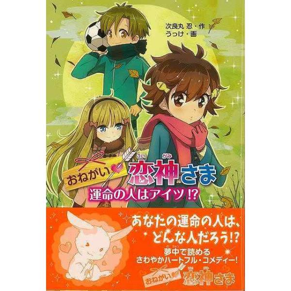 あなたの運命の人は、どんな人だろう！？夢中で読める　さわやかハートフル・コメディー！ユメのおばあちゃんのお店にたい焼きを買いに来たジン。ユメと話していると、ジンのバッグからお守りが落ちた。だが、ジンはお守りをユメに見せたまま、うっかり忘れて...