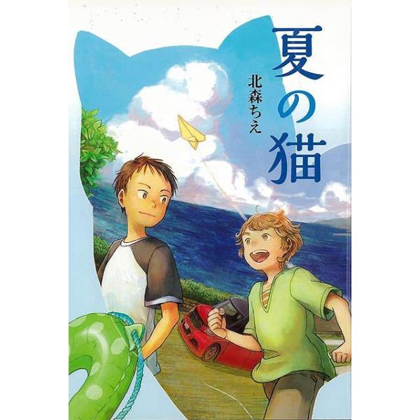 ささいなことで仲間はずれにされた舟と、けがをしてサッカーに挫折している海。いとこ同士の二人の少年が呉の田舎で過ごしたひと夏の冒険と、ふしぎな灰色猫やなっちゃんとの出会いを経て、迷いを乗り越えていくさわやかな物語。
