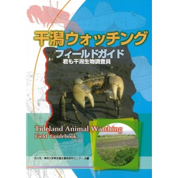 干潟で観察することができる生物とその生態の観察方法を、わかりやすい文章と生物の特徴のわかるイラストと写真で紹介します。