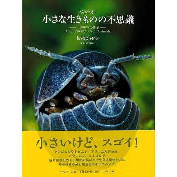 ダンゴムシ、ハサミムシ、ミミズたちは、落ち葉の下や土の中で食物連鎖の重要な役目を担っている。これら小さな生きものの姿や生態の衝撃的面白さを満載した写真図鑑。