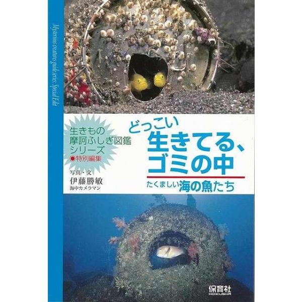 “生きる力を生きものに学ぶ”生きもの摩訶ふしぎ図鑑シリーズ特別編集！ゴミの中で生きる魚たちの、たくましくけなげな写真がたっぷり。３０年以上海に潜り続けたベテラン海中カメラマンが、１０年以上の歳月をかけて撮り集めた写真をまとめた渾身の１冊！魚...