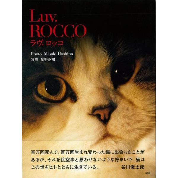 難病を宣告された、演劇プロデューサーの前に現れた猫ＲＯＣＣＯ（ロッコ）。出会いから１年ほど経ったあるとき著者は、優れた役者に出会ったときに感じる独特な感覚をＲＯＣＣＯに見出していく。その日を境に、動かなくなる体に鞭打ち、猫を役者に見立てた撮...