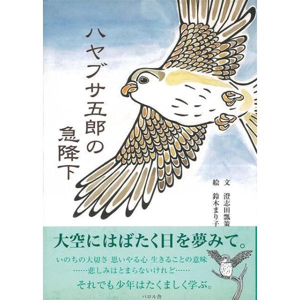 ある日ケガをしたチョウゲンボウ（ハヤブサの一種）のヒナを拾った純之介。大空をはばたく姿を見たい……五郎と名付け、和尚さんとともに懸命に介抱します。次第に元気を取り戻す五郎でしたが……。