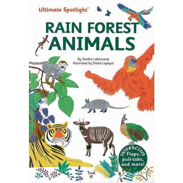 表示価格：16.99 ドル※本商品はリメインダ―洋書になります。商品の性格上、リメインダ―であることを示す印や線引きがされている物があります。又、カバー表紙などに若干の汚損などがある場合もございます。：熱帯雨林に生息する野生の素晴らしい鳥、...