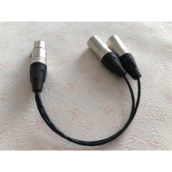 Yパラケーブルケーブル：CANARE L-2B2ATコネクター：NEUTRIK NC3FXX,NC3MXX×21本のマイクを2台のミキサーに分ける等で使用できます。コネクターを逆にする等の変更承ります！（落札後ご希望をお知らせください。納期...