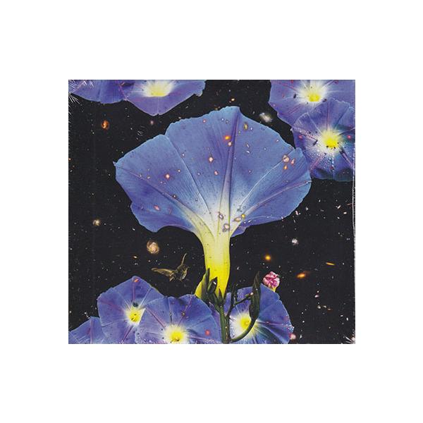 参加メンバー：Sarah Louise関連アーティスト：HOUSE AND LAND,etcDigi-Sleeve CD(2019) (USA)Thrill Jocky/THRILL 483