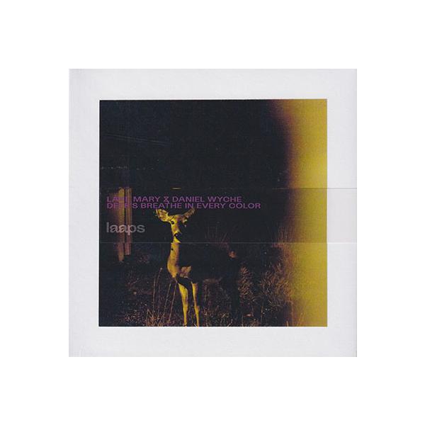 参加メンバー：Lake Mary(aka.Chaz Prymek),Daniel Wyche関連アーティスト：FUUBUTSUSHI/風物詩,NEVADA GREENE,SYMPATHY PAIN,URUG,etcPaper-Sleeve ...