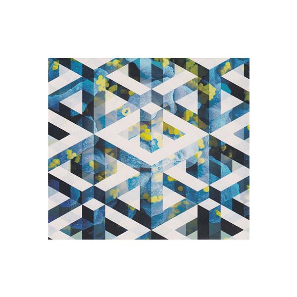 参加メンバー：Evan Bartholomew,Ian Boddy関連アーティスト：INVISIBLE ALLIES,ARC,REDSHIFT,DUB ATOMICA,Hi-Q,etcDigi-Pack CD(2018) (UK,EU)Di...