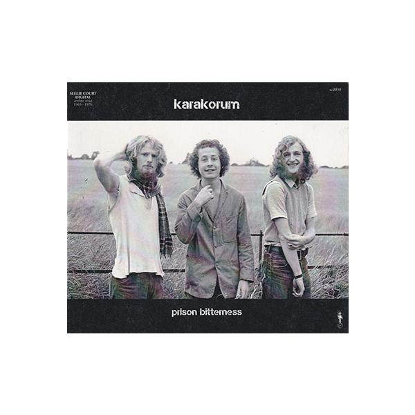 参加メンバー：James Williams,Paul Cobbold,Martin Chambers,Rich EdwardsDigi-Sleeve CD(2021 Re-master) (UK)Seelie Court Digital/s...