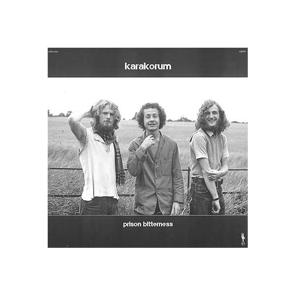 参加メンバー：James Williams,Paul Cobbold,Martin Chambers,Rich EdwardsVinyl LP(2022 '21Re-master) (UK)Seelie Court/sclp031