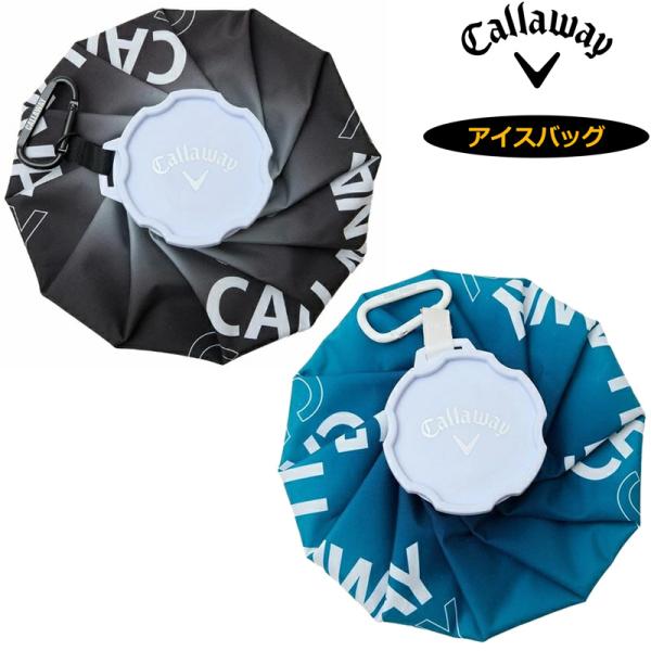 夏ゴルフの必需品 シンプルで落ち着いた色合いのアイスバッグラウンド中はもちろんアイシングや発熱時など様々なシーンで活躍してくれます持ち運びに便利なカラビナ付属ユニセックスでお使いいただけるアイテムです■素材・本体：ポリエステル(裏面:PUコ...