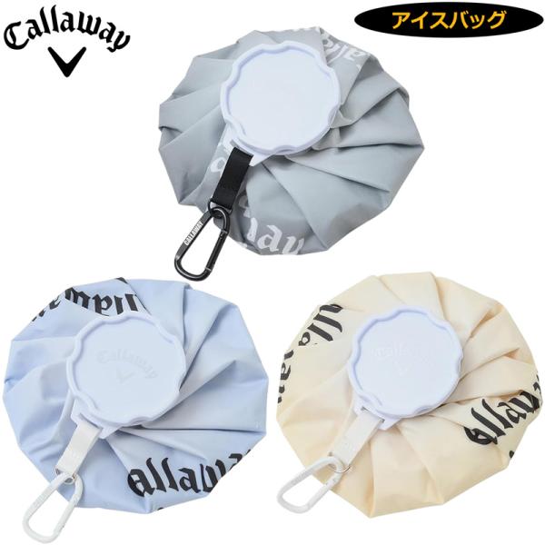 夏ゴルフの必需品 シンプルで落ち着いた色合いのアイスバッグラウンド中はもちろんアイシングや発熱時など様々なシーンで活躍してくれます持ち運びに便利なカラビナ付属ユニセックスでお使いいただけるアイテムです■素材・本体：ポリエステル・ふた：ポリス...