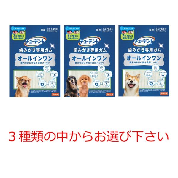 SS、S、M〜の3種からサイズをお選びください。愛犬のお口のケアに欲しかった5つの特長を備えたオールインワン歯みがき専用ガム。・3回噛むとしっかり歯垢を落とす・歯垢を除去して口臭スッキリ・舌の汚れにアプローチ・歯の健康をサポートするフッ素配...