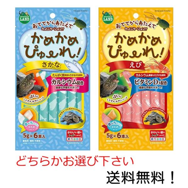 さかな、えびのどちらかお選び下さい。手から直接与えてコミュニケーションが取れる、ピューレタイプの水棲カメ用おやつです。たんぱく質たっぷりのさかなを主原料に、カルシウムを配合。カメの健康な成長を助けます。minimal LAND種類：JANコ...