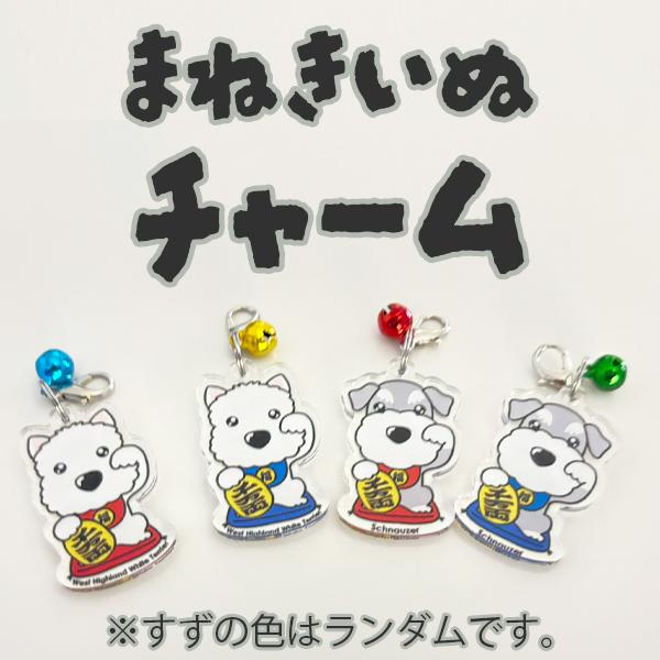 わんちゃんの幸せが、あなたの幸せになる場所。ペット雑貨のお店ThreeB。一緒に過ごす時間をもっと素敵にする、とっておきのアイテムを探しにきてください。可愛いワンちゃんたちが「まねきいぬ」となって幸運を招いてくれそう！お座布団カラーは赤と青...