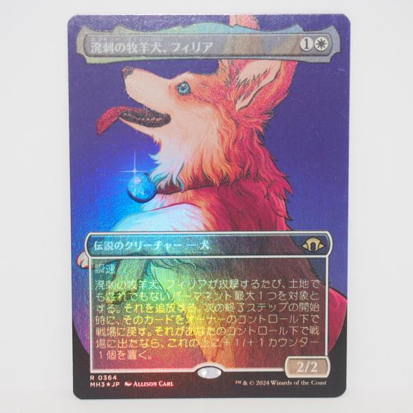 【発売日：2026年05月22日】