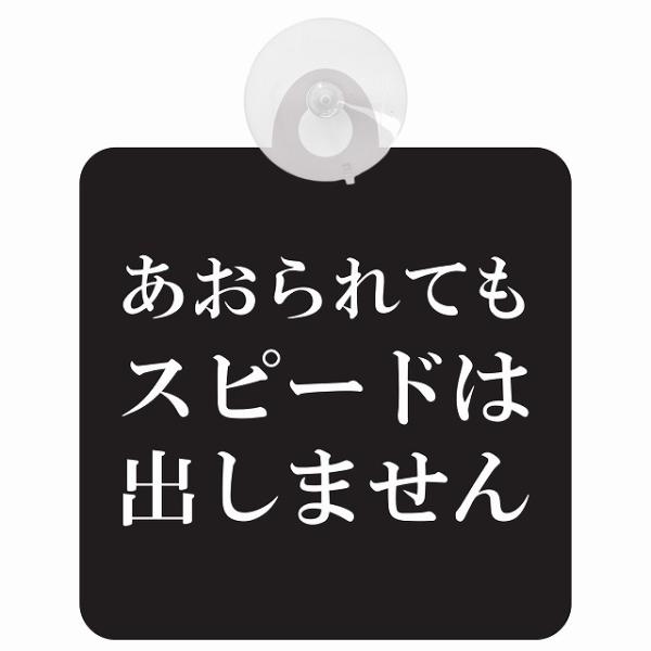 サイズ：124mmx146mm 厚さ1mm 材質：ペット樹脂 重さ：約20グラム 印刷：UV印刷