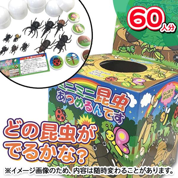 【商品詳細】どんな昆虫をGETできるかな？カプセルにはフィギュアか消しゴム1ヶが入っています☆【商品サイズ】約23×21×21cm(箱)、約φ4.7cm(カプセル)【主な仕様】1組1セット｜60人分｜カプセル入（昆虫消しゴム30カプセル、昆...