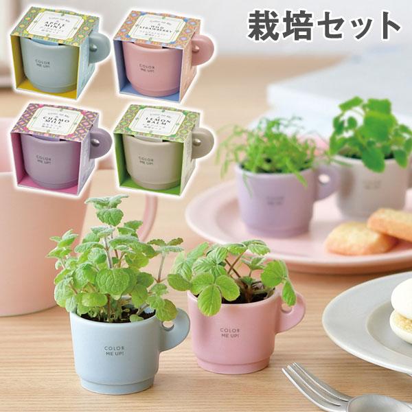 【商品詳細】手のひらサイズのマグカップデザインの鉢がかわいい♪小さな植物の栽培キットです☆【商品サイズ】約5×3.8×3.3cm【主な仕様】1ヶ1セット｜手のひらサイズ｜美濃焼｜アップルミント・レモンバーム・ワイルドストロベリー・カモミール...