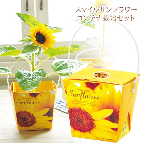 【商品詳細】ひまわりの育成が気軽に楽しめる！栽培スタートセットです☆【商品サイズ】約10.5×10.5×9.2cm【主な仕様】1ヶ1セット｜防水コンテナで育てる栽培キット｜15度以上であれば年中育てられます｜ミニヒマワリの背丈：15〜45c...