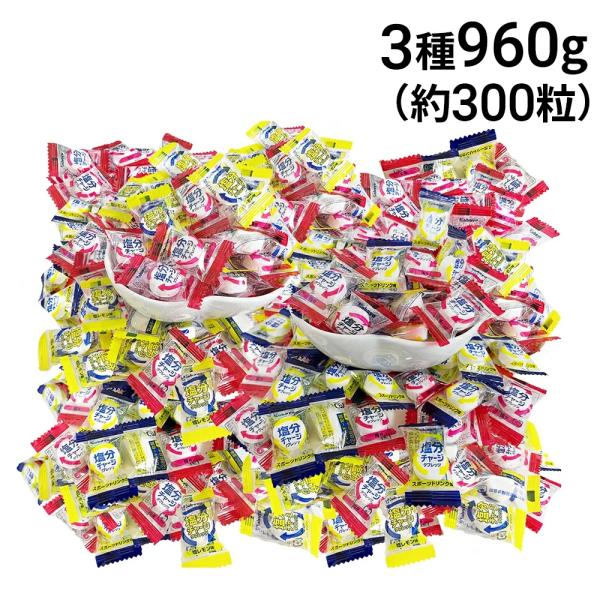 カバヤ 塩分チャージ タブレッツ 【 3種 960g 】 セットです。汗をかいたら、塩分チャージ。発汗によって失われた体内の塩分を補給するのに適したタブレットです。ナトリウムとともに汗によって体から失われるミネラル「カリウム」を配合していま...