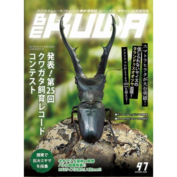 BE-KUWA 97  2025年クワガタ飼育 レコードコンテスト4 発表！ 第25回クワガタ飼育レコード コンテストレコードホルダーに学ぶ飼育法52 　100mmオーバー 超大型タランドゥスを目指して　星 尚宏60 　デンティクルスゲンシ...