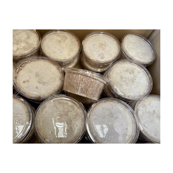 この度は、当ショップの商品に興味をお持ち頂きまして誠に有り難うございます。「神長きのこ園様のルカディア・スーパーホワイト：プリンカップ200cc　25個 」店舗、その他サイトで併売しておりますので欠品の際はご了承くださいませ。ギネスクラスを...