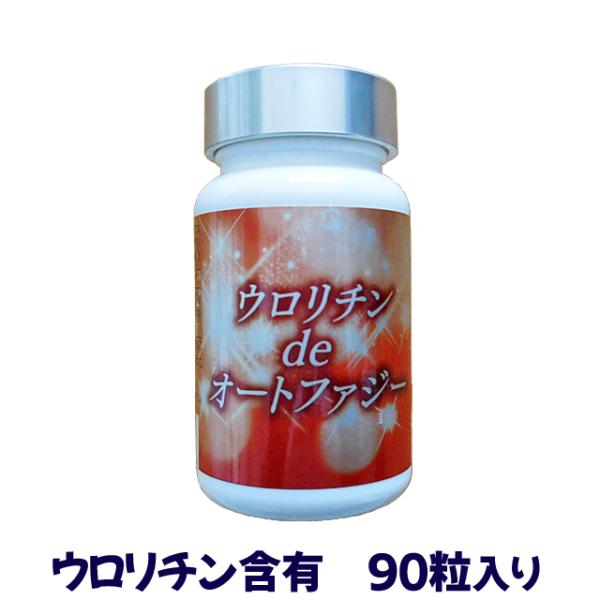 果物由来の３種のポリフェノールでオートファジーをサポート「ウロリチンdeオートファジー」サプリメント世界中で人気のスーパーフルーツ「ザクロ」ザクロは栄養豊富なスーパーフードで、古くから「女性の果実」とも呼ばれています。ザクロにはポリフェノー...