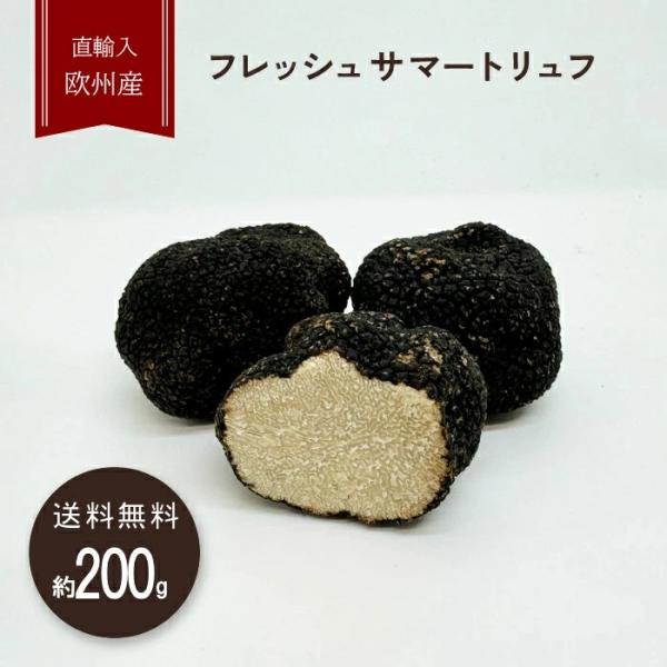 サマートリュフは、4月中旬から8月末頃にかけて収穫される季節限定のトリュフです。トリュフと聞くと特別な食材という印象がありますが、サマートリュフは香りがかなりやさしく、きのこやナッツを思わせる自然で上品な風味が特徴です。クセが強すぎないため...
