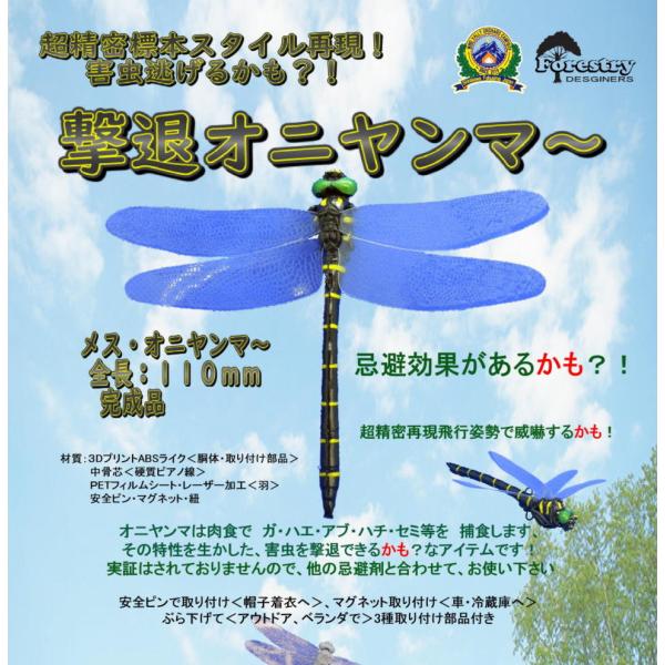 【配送方法は宅配便の他に、格安のネコポス便（送料240円）もご利用になれます。ご希望のお客様は、ご注文手続き画面に「配送方法」選択欄がありますので、お客様ご自身で変更して下さい。】オニヤンマは肉食で、蛾、蝿、虻、蜂、蝉などを捕食します。その...