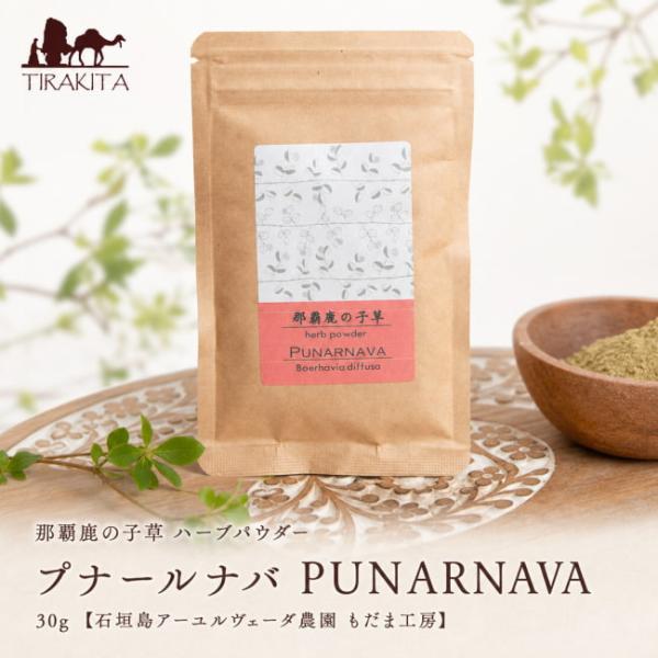 【発売日：2024年12月11日】那覇鹿の子草 ハーブパウダー プナールナバ PUNARNAVA 30g【石垣島アーユルヴェーダ農園 もだま工房】 / 那覇鹿、PUNARNAVA、プナールナバ、ハーブ、ハーブパウダー、アーユルヴェーダ、アー...