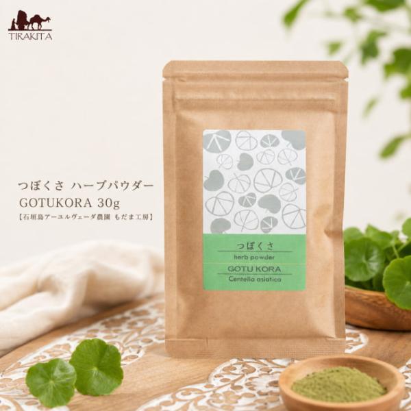 【発売日：2024年12月11日】つぼくさ ハーブパウダー GOTUKORA 30g【石垣島アーユルヴェーダ農園 もだま工房】 / つぼくさ、GOTUKORA、ハーブ、ハーブパウダー、アーユルヴェーダ、アーユルヴェーダのハーブ もだま工房 ...