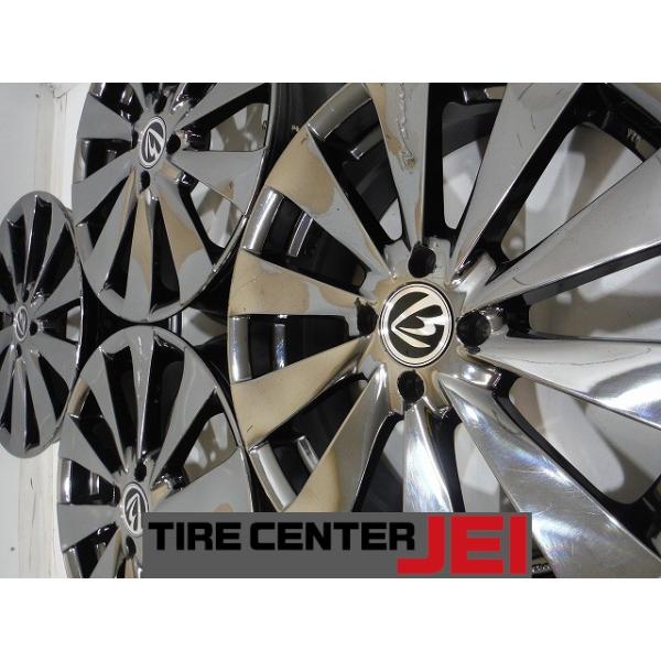 RAYS BL-10 GENOMA17x6J+47　100