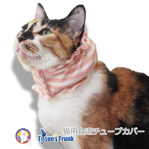 食道チューブを設置した猫ちゃんのための保護カバー　首に巻いてチューブを収納できます 首周り22〜26cm 襟の高さ・12cm　