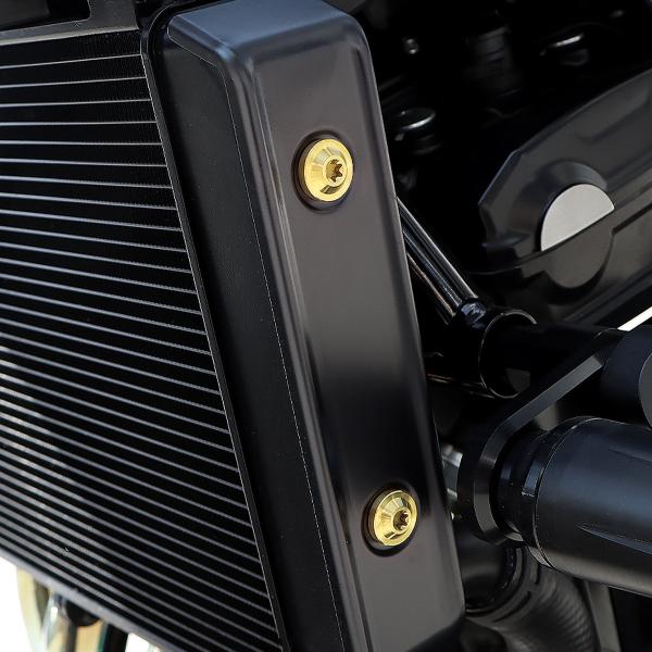 ■ブランド名：TECH-MASTER / テックマスター■商品番号：BS0006■商品名：Z900RS/CAFE ラジエターサイドカバー用 ボルトセット■適合車種：Z900RS/CAFE■数量：数量1で4本セット■材質：64チタン■商品カラ...
