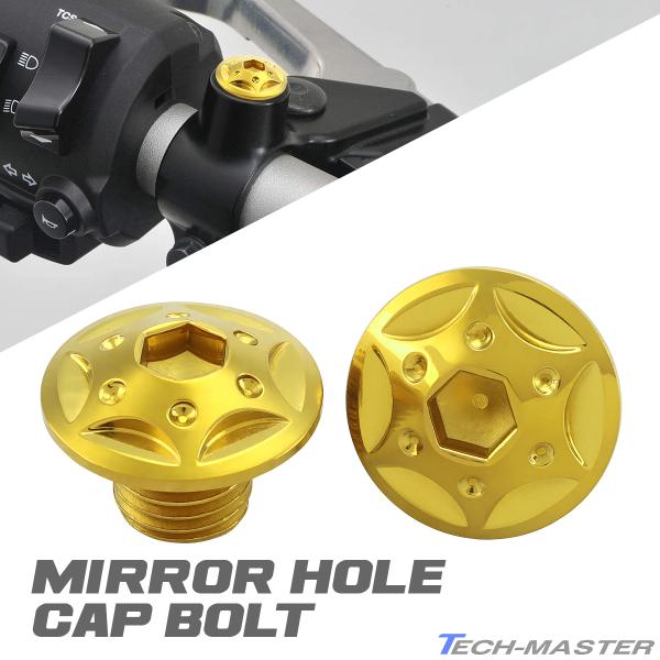 ■商品タイトル　M10 正ネジ 逆ネジ スターホールヘッド ミラーホールキャップ■数量　数量1で2個セット　(正ネジ1個、逆ネジ1個)■適合車種　ヤマハ車汎用■材質　SUS304ステンレス　■サイズ　M10×10mm P1.25■カラー　ゴ...