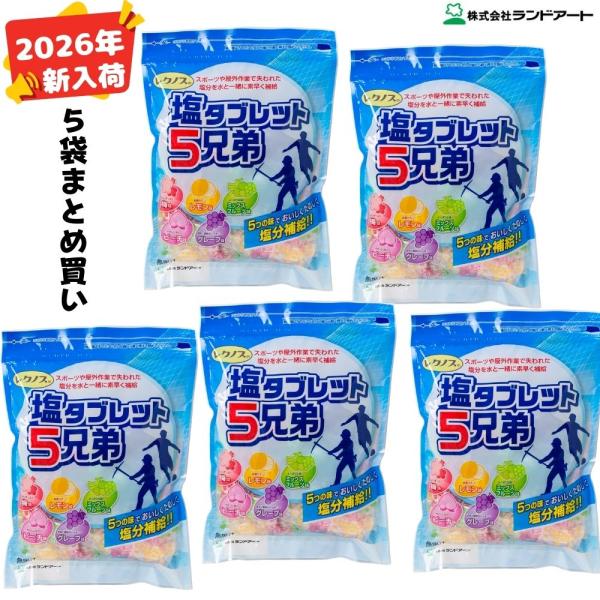●お得な５袋まとめ買い(500ｇ袋×5袋) ●【商品説明】梅味・レモン味・ミックスフルーツ味・ピーチ味・グレープ味の5つの味が楽しめます。― タブレットタイプのポイント ―・噛み砕きやすいので素早く塩分補給。・ポケットで溶けないので携帯に便...