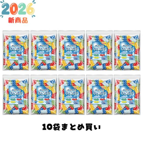 【１０袋まとめ買い応援セール】紙パッケージのアメノミクスECOから袋タイプにリニューアル！飴のみ5種類のアソートになり、飽きずにお召し上がり頂けます暑い夏に美味しく熱中対策出来る商品です。・スポーツドリンク味・サイダー味・マスカット味・アッ...