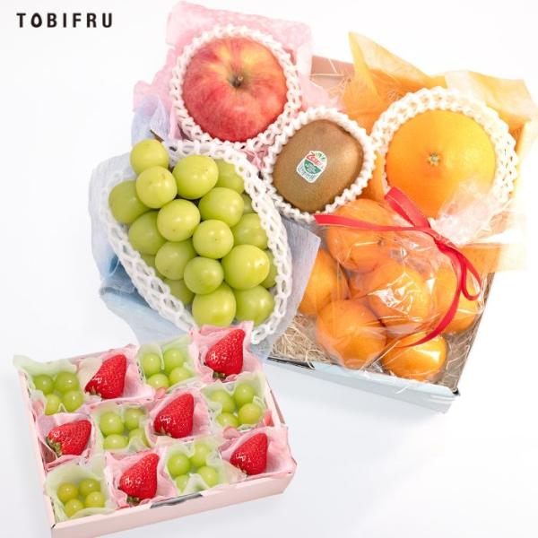 〜12月発送分詰め合わせ内容〜シャインマスカット / りんご / みかん / 柑橘 / キウイ / フルーツ宝石箱■シャインマスカット　皮ごと食べられる爽やかな食感と、上品な甘みが特徴の高級ぶどうをお届けします。■みかん　生産者と交渉し、特...