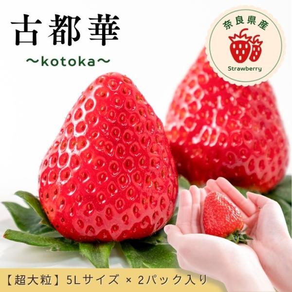 〜 奈良県産　古都華 〜奈良県を代表するブランドいちご「古都華（ことか）」は、宝石のようなツヤのある真っ赤な色味で、香りが高くしっかりとした濃厚な味わいが特徴です。 糖度は、おおよそ12度〜15度と高く、食べた瞬間に口いっぱいに甘みが広がり...