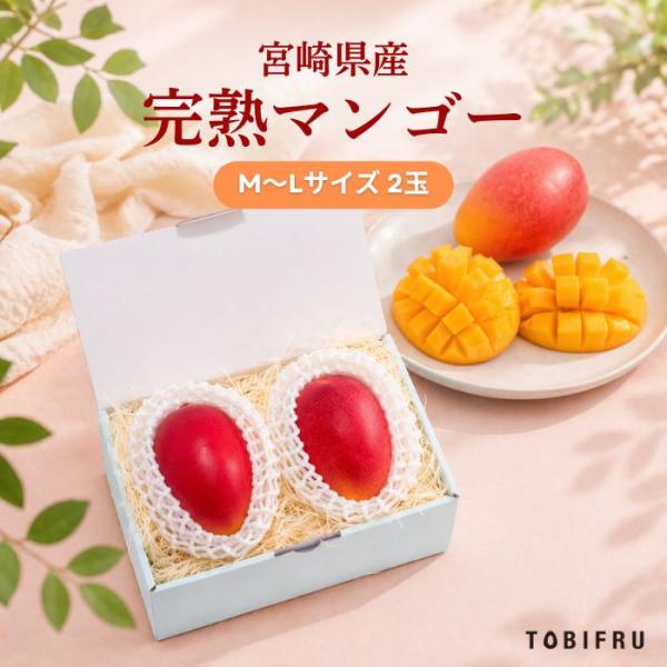 太陽の恵みをたっぷり浴びて育った、南国・宮崎の誇る逸品「完熟マンゴー」ひとつひとつ丁寧に管理され、樹上で自然に熟すのを待って収穫される“完熟”だからこそ味わえる、とろけるような甘さと濃厚な香りが特徴です。果肉はジューシーでなめらか、まるで高...